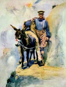 ANZAC | Our History | Taradale RSA